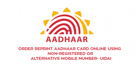 UIDAI Aadhar Download, E-Aadhar, Status, Update - UIDAI Online Aadhaar Card Help