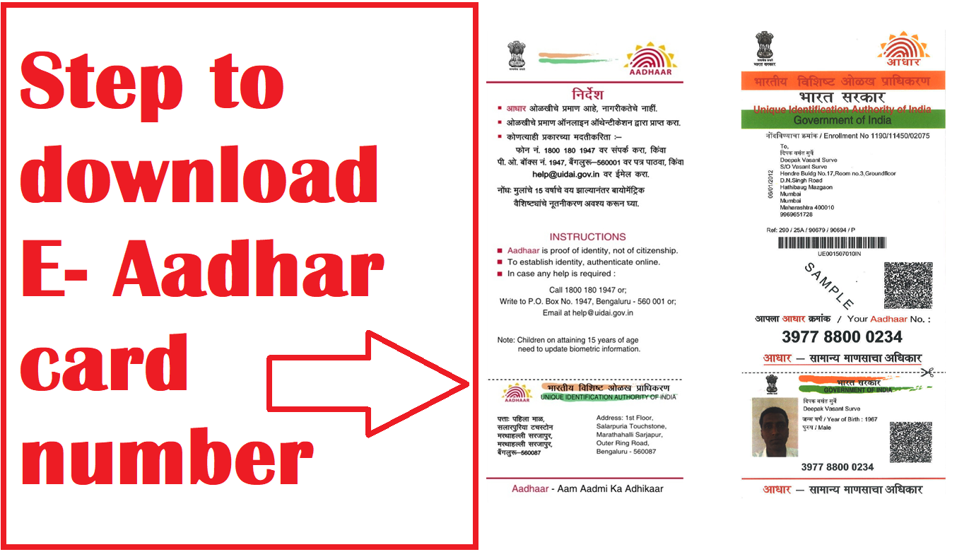 Aadhar Card Online Apply, All the steps to Get e Aadhar, PVC Aadhar Card